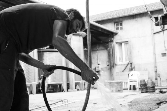 Alexandre RIVIERE, Oenologue du Domaine JP RIVIERE, vinifications 2017 ...