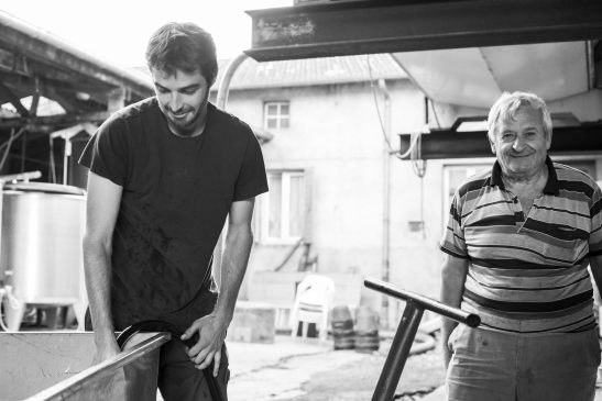 Alexandre RIVIERE, Oenologue du Domaine JP RIVIERE, vinifications 2017 ...